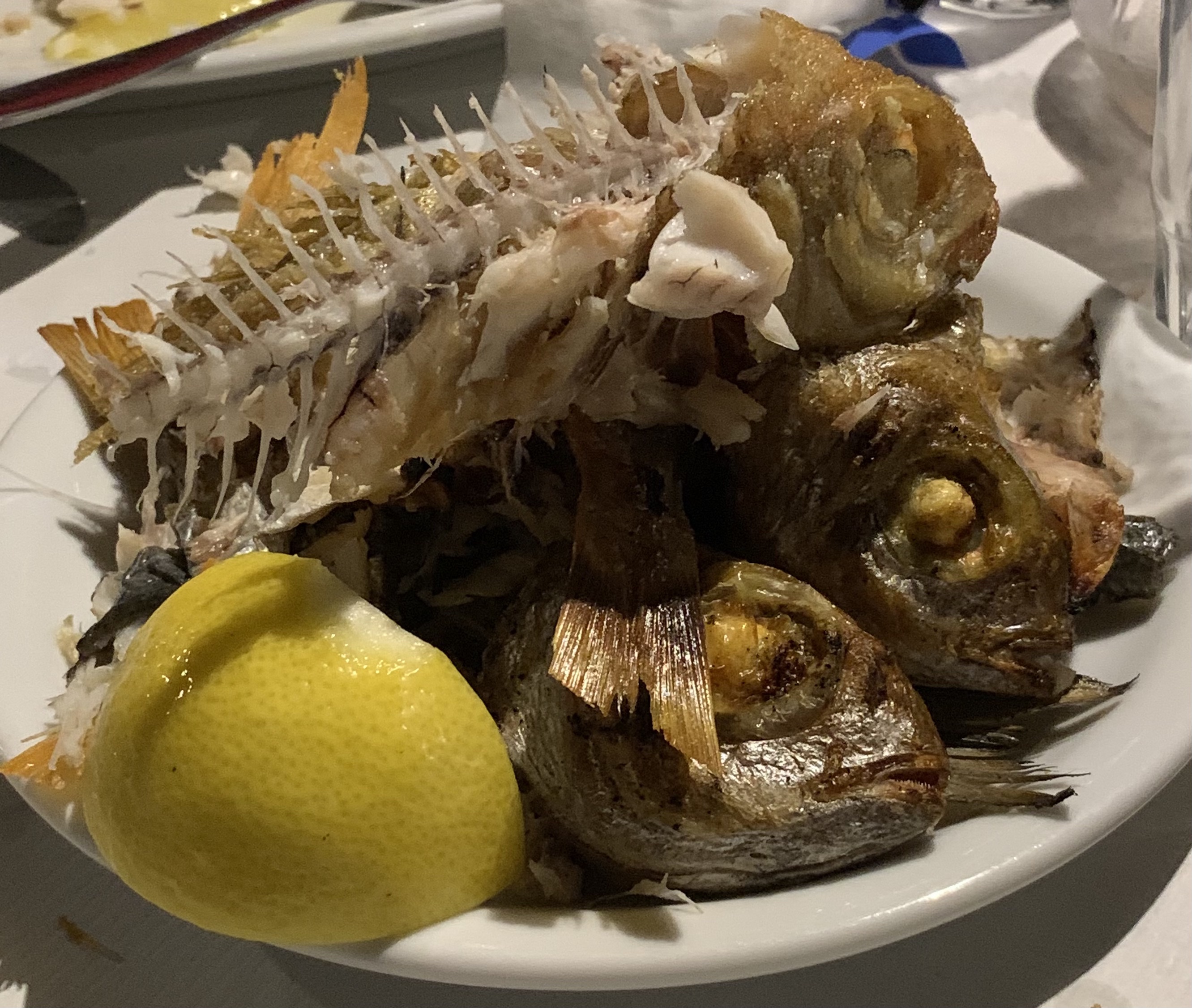 fish – Pastor Greenbean